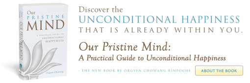 Home - Pristine Mind Foundation