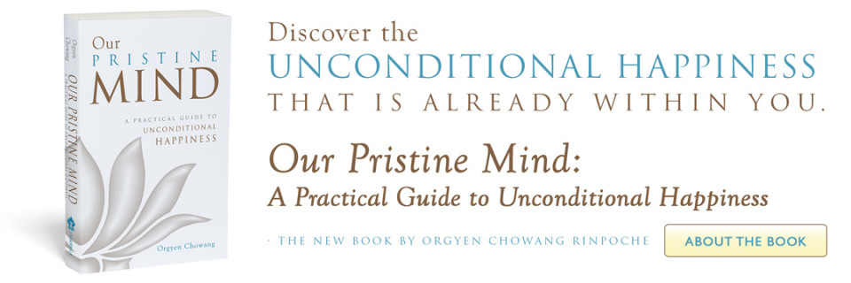 Home - Pristine Mind Foundation