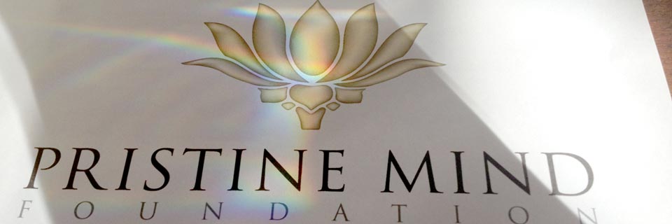 header-pristine-logo - Pristine Mind Foundation